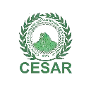 Meet the team | cesar